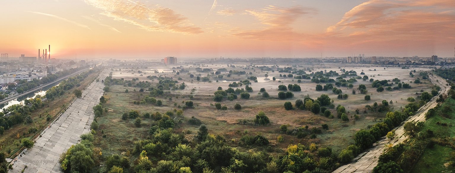 Nature and the city: How Văcărești Urban Park supports biodiversity ...